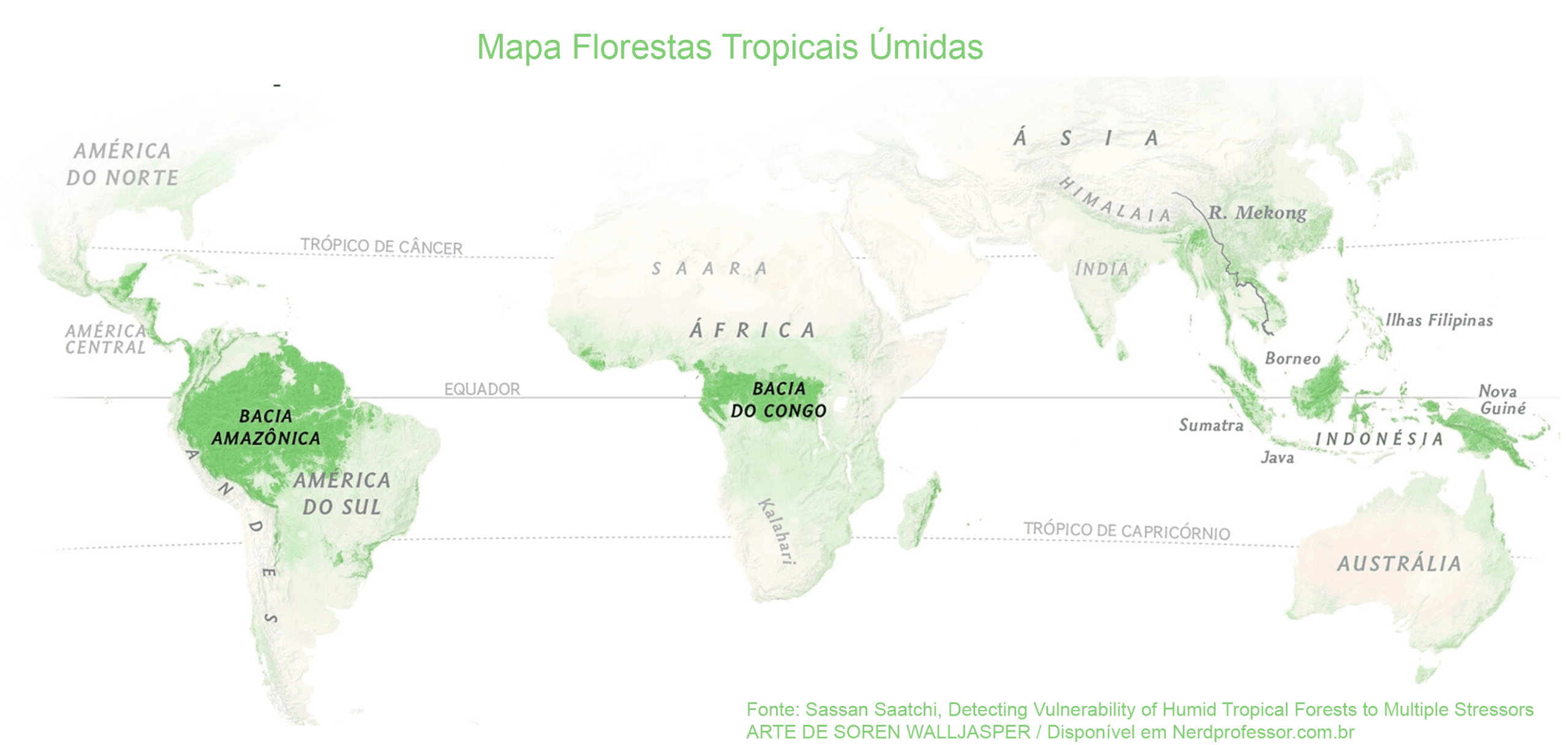 Floresta Tropical Mapa – Floresta do Congo – EHTN
