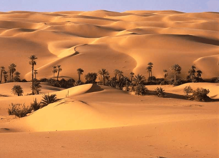Os maiores desertos do mundo – Nerdprofessor
